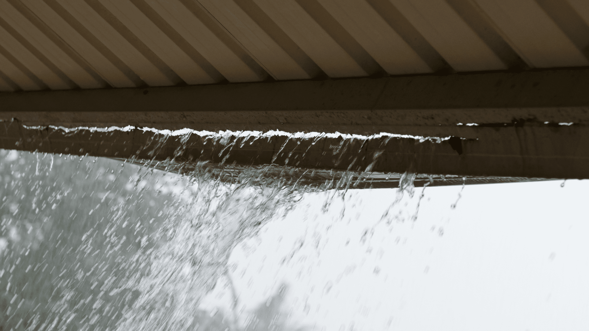 What to Do If Your Roof is Leaking | Step by Step Guide